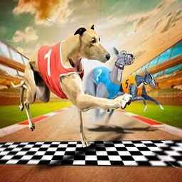 Crazy Dog Racing Game 2020 - Online Games - Cookh5 Game