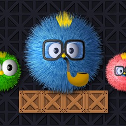 Where is my ruffled bird - Online Games - Cookh5 Game